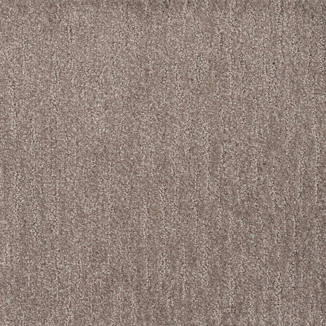 Solid & texture carpet. – Home Carpet One