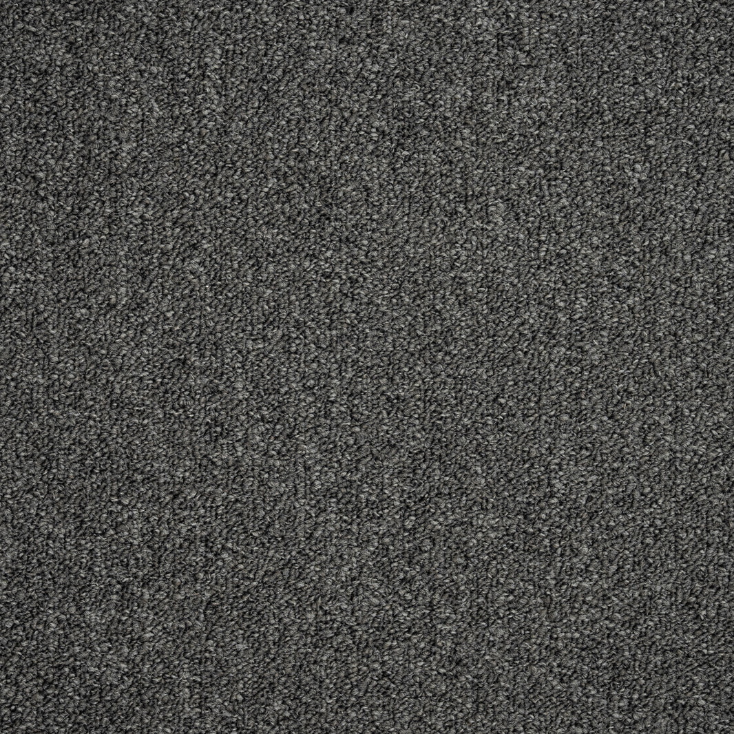 Solid & texture carpet – Home Carpet One