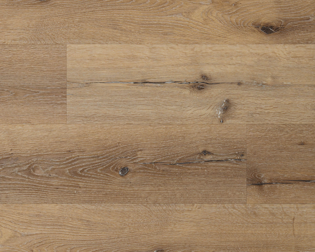 Home Carpet One | Chicago's Top Carpet Store.